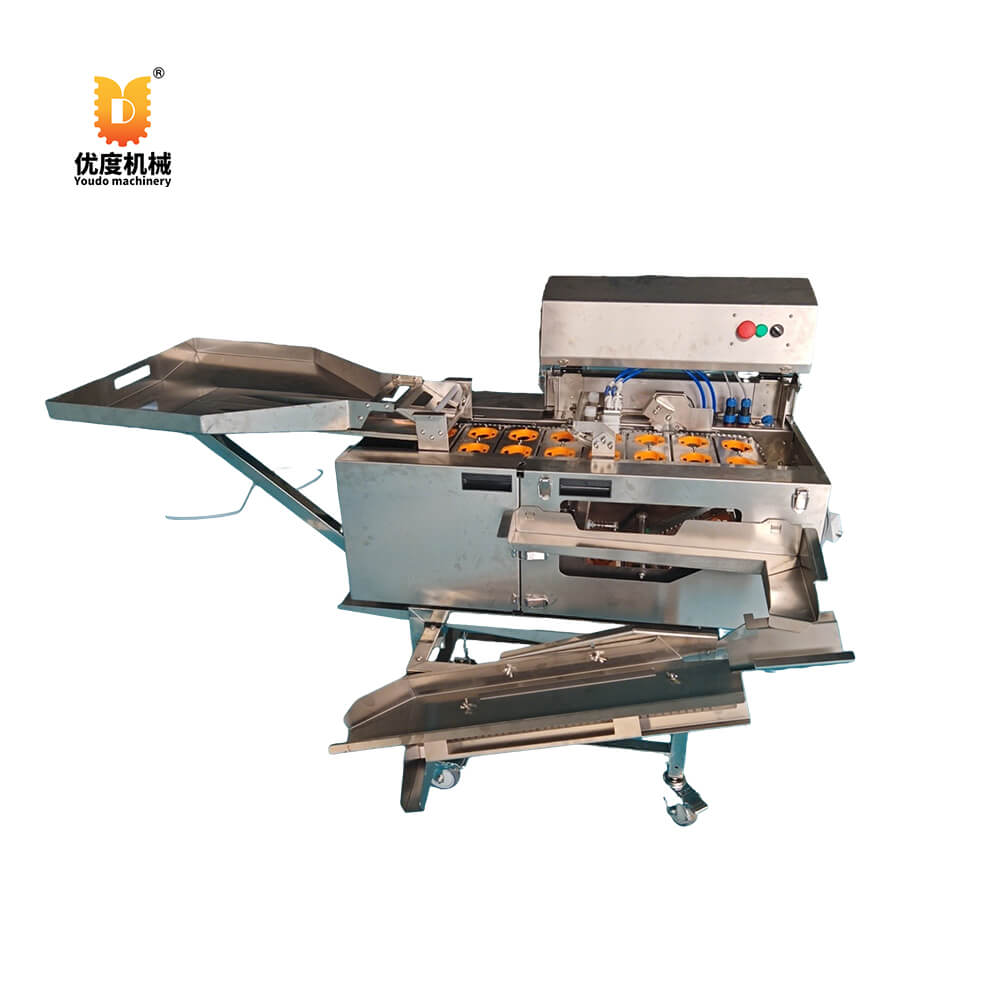 Single-Row Chain-Type Egg Breaking Machine: The Fluid Art of Egg ...